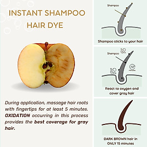 KILOMETS Dark Brown Hair Color Dye Shampoo, 400ml - 100% Grey Coverage in Minutes, Ammonia Free - Gray Silver Hair Dye Shampoo