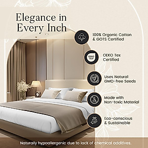 100% Organic Cotton Queen Sheet Set & Standard Pillowcases Set of 2 Combo - 300 Thread Count Long Staple Cotton Sheets,3 Pc Queen Size Sheets & Standard Pillowcases, Sateen Sheets, Breathable - White