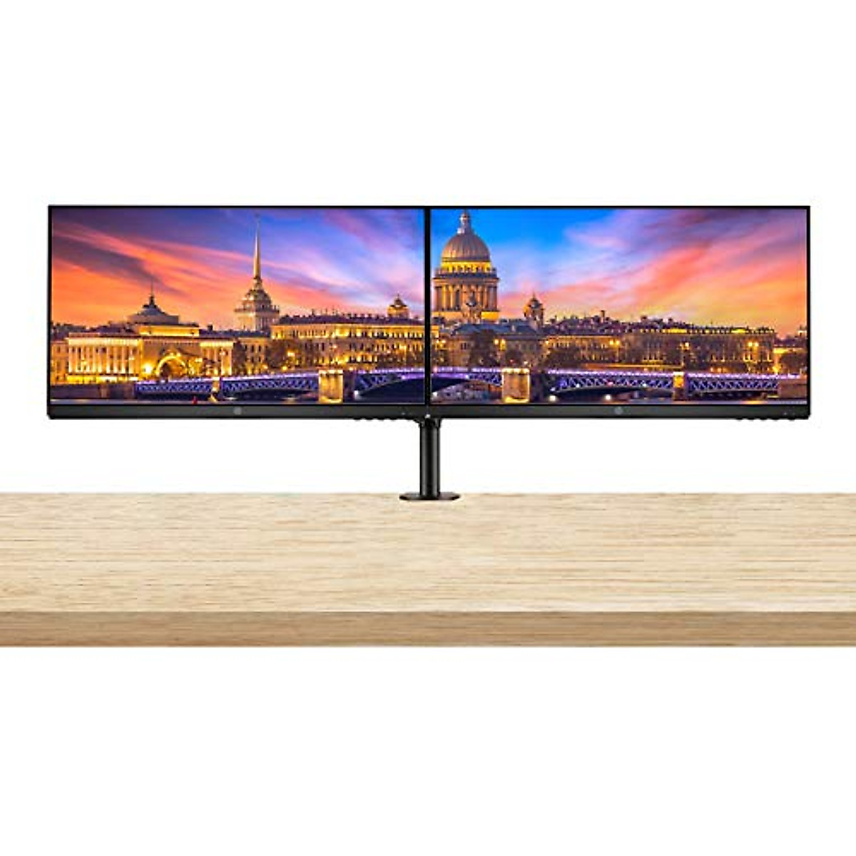 HP P24v G4 24 Inch IPS LED FHD Backlit Monitor 2-Pack Bundle with Fully Adjustable Desk Mount Monitor Stand