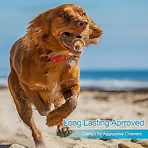 PETSTA Dog Chew Toys, Indestructible Dog Toys for Aggressive Chewers, Extreme Tough Dog Toys for Large Dogs, Dog Chew Bone for Large/Medium Dogs Breed, Gifts for Dogs