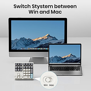 Kisnt Wireless Number Pad, 34 Key 2.4GHz Rechargeable Mechanical Numpad,Gateron Red Switches Hot Swappable Numeric Keypad with PBT Keycaps for Laptop, Mac, PC Desktop