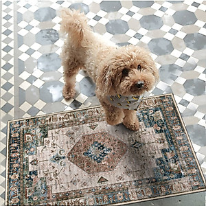 Collive Washable Indoor Doormat, Non Slip Retro Floor Mat 20" x 32" Area Rug Quick Absorbent Entrance Rug Distressed Front Door Mat, Welcome Mats Entryway Rug Doormats for Kitchen Home Patio