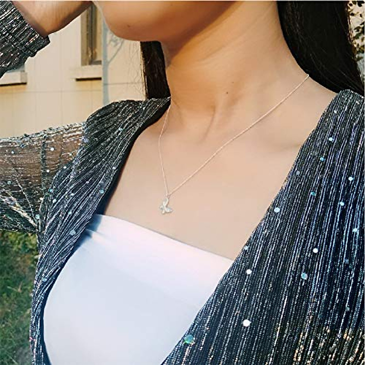 LANG XUAN Friendship Compass Necklace Good Luck Butterfly Pendant Chain Necklace with Message Card Gift Card for Women Girl