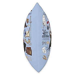 Harry Potter Everything Throw Pillow, 18x18, Multicolor