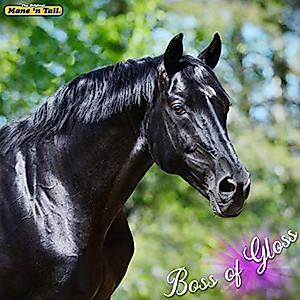 Mane 'n Tail New Ultimate Gloss Shampoo 32oz