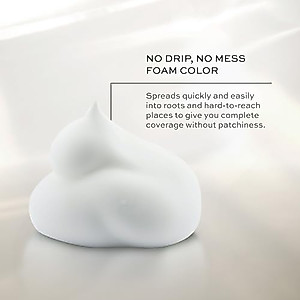 John Frieda Precision Foam Colour, Deep Brown Black 3N, Full-coverage Hair Color Kit, Anti-Fade Gray Coverage, Deep Color Saturation Hair Dye, 1 Application