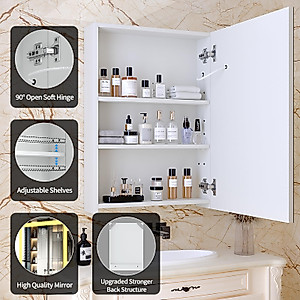 LALAHOO Medicine Cabinets for Bathroom,Medicine Cabinet Mirror,Lighted Medicine Cabinet with LED Lights,Adjustable Shelf, 3-Color, Dimmer,Defogger,20"x28"