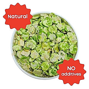 GuineaDad Guinea Pig Pea Flakes - Guinea Pig Food - 1 x 9.5 Ounce Pack - Nourish Series of Pea Flakes for Guinea Pigs - Guinea Pig Treats Help with Bonding - High in Vitamins and Minerals - Large