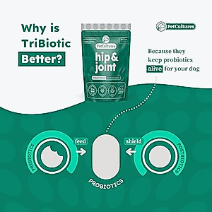 PetCultures Dog Arthritis Supplement with Glucosamine for Dogs Hip and Joint Supplement, Made in USA, 2 Bil CFU Probiotics, 6 Strains, Prebiotics, Chondroitin, MSM, Joint Support for Dogs