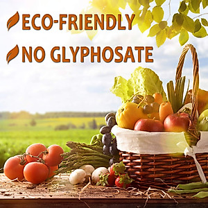 OrganicMatters Natural Weed Killer Spray, No Glyphosate, Results in Less Than 24-Hours (128 oz Gallon)