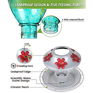 BOLITE Hummingbird Feeders for Outdoors, Hand Blown Glass, 30 Ounce, 5 Feeding Ports with Perch, 21003BU Green