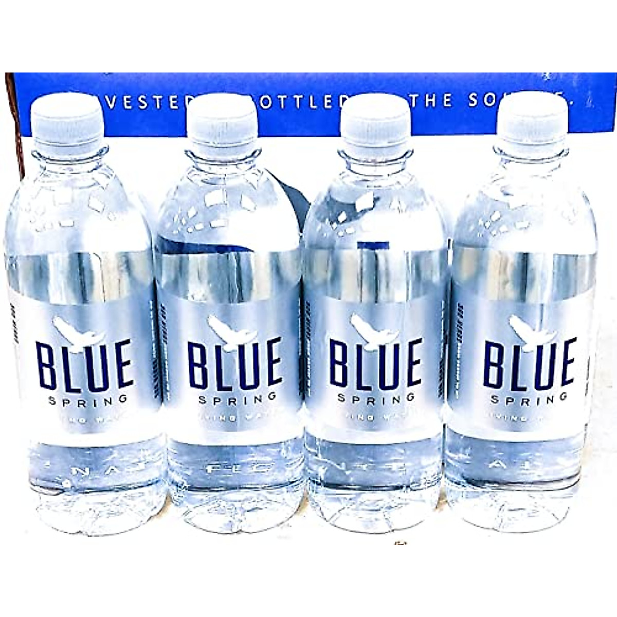 Blue Spring Living Water, Pure Premium Natural Spring Water, pH balance of 7.1-7.2, Bottled Spring Water, 16.9 Fl Oz, (Pack of 12)