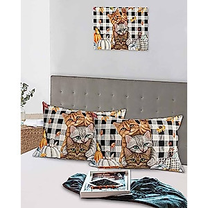 Thanksgiving Pillow Covers Standard Size Set of 2 Bed Pillow, Fall Pumpkin Cats Maple Leaf Black White Plaid Plush Soft Comfort for Hair/ Skin Cooling Pillowcases with Envelop Closure 20''x26''