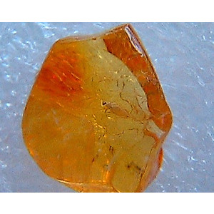 Genuine Baltic Amber Stone with Fossils Insects Inclusions in Magnifying Box 4 pcs