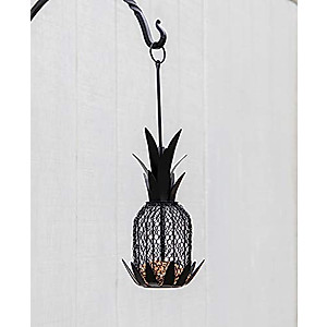 Achal Designs Pineapple Birdfeeder