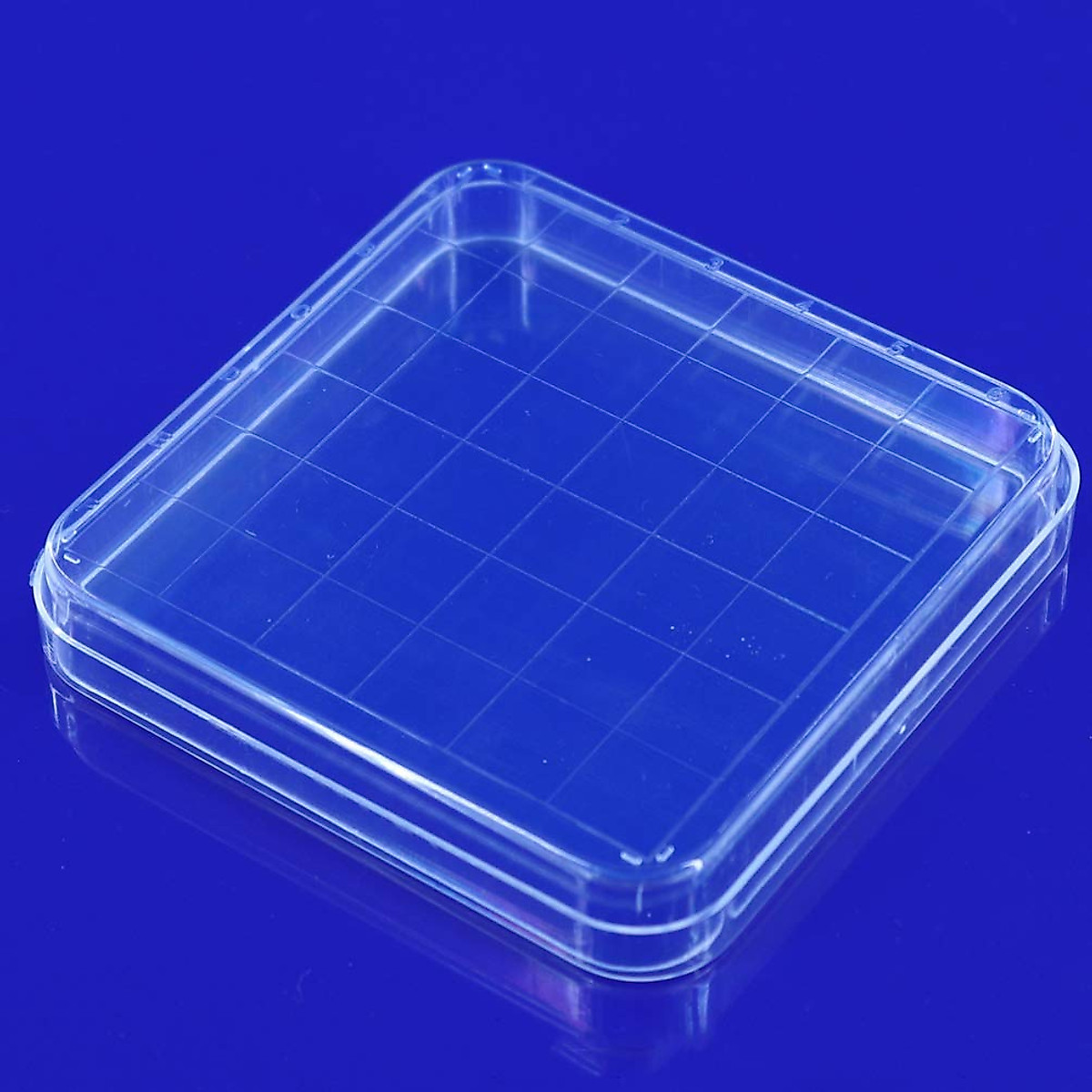 Scicalife 10 Sets Square Petri Dish with Lids, Plastic Material, Container for School Lab Science Experiment