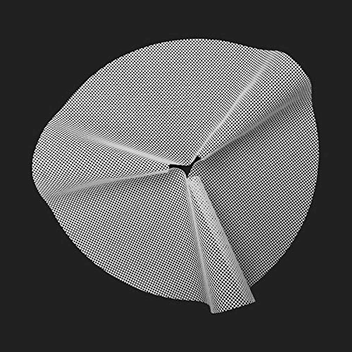 Coitak 6 PCS Round Dehydrator Sheets, Non-stick Silicone Fruit Dehydrator Mats, Reusable Baking Mat For Fruit Dryer, 13" Diameter