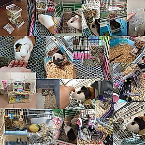 Hamsters Feeder Small Animals Automatic Dispenser Gravity Auto Dispensers Pet Pellets Food Storage Bowl - Dwarf Hamster Gerbils Mice Hedgehog Guinea Pig and Other Small Animal Ideal Feeding Station