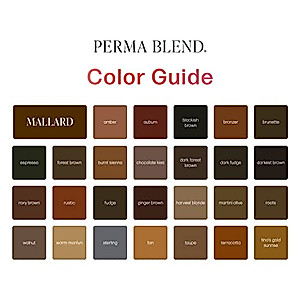 Perma Blend Brow Daddy Eyebrow Tattoo Ink - Schokolade - Brown Microblading Pigment for Permanent Makeup Professionals - Brown Ink for Brow Tattoo, Eyeliner and Lip Blushing - Vegan (0.5 oz)