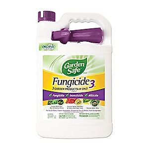 Garden Safe Fungicide3