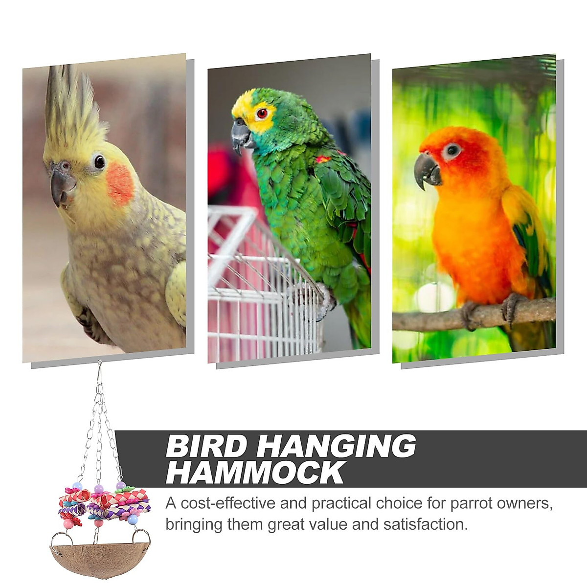 Bird Hammock Coconut Shell Hamster Nest Parrot Cage with Chain Charm and Fake Flower for Pet Hanging Bed (5x11”)