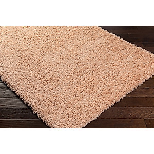 BoutiqueRugs Meru Contemporary Area Rug - Peach - 5'3" x 7'