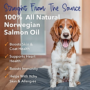 iHeartDogs Salmon Oil for Dogs and Cats - Nourishing Skin & Coat Omega 3 Fish Oil for Dogs Supports Allergy & Itch Relief, Heart Health and Joint Health - 32 oz