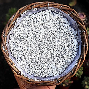 Organic Perlite for All Plants, All Natural Horticultural Soil Additive Conditioner Mix, Improve Drainage and Ventilation, Help Root Growth (2 Quarts)