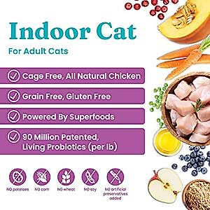 Solid Gold Indoor Dry Cat Food - Let's Stay in Cat Food Dry Kibble for Indoor Cats - Hairball & Sensitive Stomach - Grain & Gluten Free - Probiotics & Fiber for Digestive Health - Chicken - 6lb