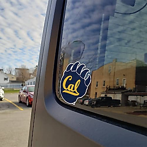 Nudge Nudge Printing University of California Berkeley Sticker Golden Bears Paw and Cal Footprint Logo Car Decal Heavy-Duty Officially Licensed NCAA Vinyl for Bumpers, Window, Laptops, or Coolers