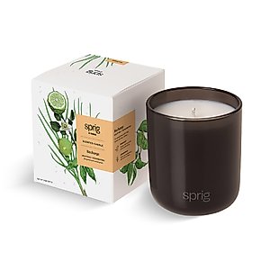 Sprig by Kohler Recharge Aromatherapy Candle with Bergamot and Lemongrass, 100% Natural Soy-Coconut Wax, Uplifting and Invigorating Scent, Gift for Holidays, 8 oz