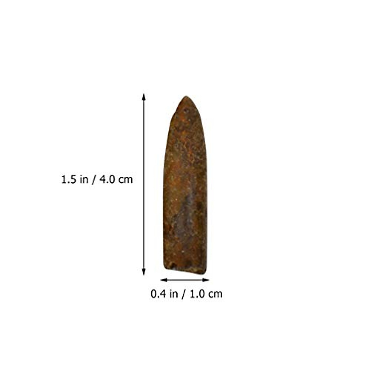 iplusmile 10pcs Paleontology Belemnite Fossil Specimen Science Ornament Laboratory Supply