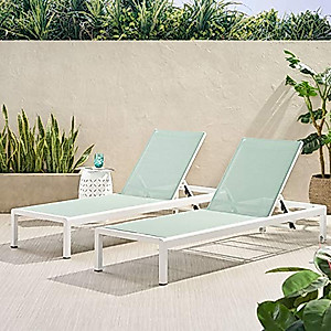 Christopher Knight Home Vanessa Coral Outdoor Chaise Lounges (Set of 2), Green and White