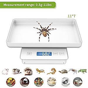 MINDPET-MED 11lbs/0.1g Pet Scale for Small Animal, Whelping Scale, Guinea Pig Weighing Scale, High Precision 0.003oz, Suitable for All Newborn Pets, Kittens, Turtles,