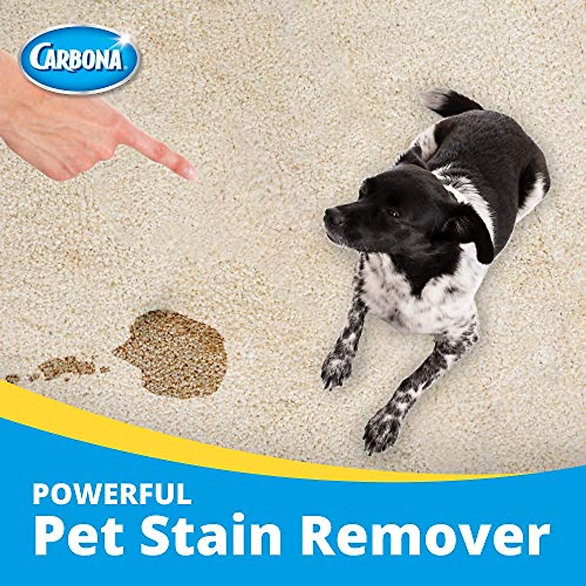 Carbona Oxy-Powered Pet Stain & Odor Remover w/ Active Foam Technology | 22 Fl Oz, 1 Pack