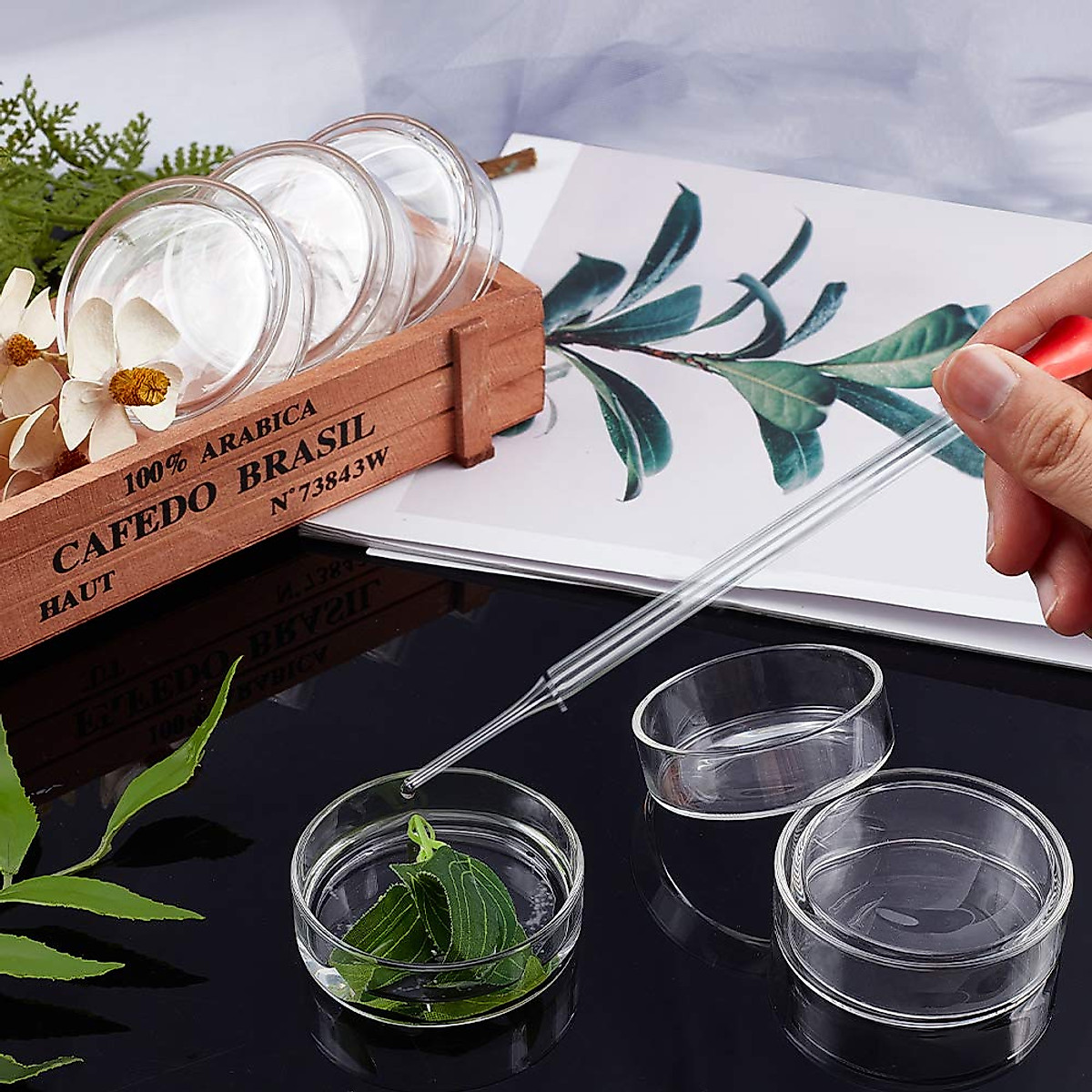 OLYCRAFT 6PCS Glass Petri Dishes High Borosilicate Glass Bacterial Culture Dishes with Lid 60mm Dia x 18mm Deep with 2pcs Glass Culture Plate for Laboratory School Science Project