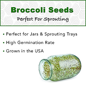 1 lb Broccoli Sprouting Seeds - Perfect for Sprouting & Microgreens, Rich in Sulforaphane, USA Grown (Resealable Bag)