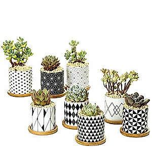Cabilock Plant pots Ceramic Bonsai pots Ceramic Planter pots Small pots Ceramic Plants Pots Ceramic pots Tiny Plant Succulent pots Mini vases Round vase Simple Flower Pot Desktop Mini Basin