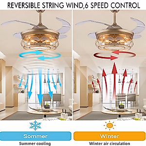 BILPIKOGoo 42" Retractable Ceiling Fans with Lights, Farmhouse Industrial Ceiling Fan, Caged Fandelier Ceiling Fans with Remote, 6 Wind Speeds, for Kitchen Bedroom Living/Dinning Room