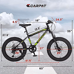 Elecony Ecarpat 20/24/26 Inch Fat Tire Mountain Bike Teenages Boys Girls 7/21 Speed, Front Suspension Disc Brake Bicycle, Carbon Steel Frame Mountain Trail Bike, Beach Bicycle