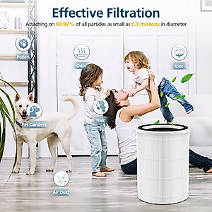 TPAP001 H13 True HEPA Replacement Filter, Only Compatible with TOPPIN TPAP001 Comfy Air C2 Air Purifier, 4-in-1 HEPA Air Filter, Part # TPFF001【Not Fit Kokofit KJ510B & TPAP002 TPAP004 TPAP005】