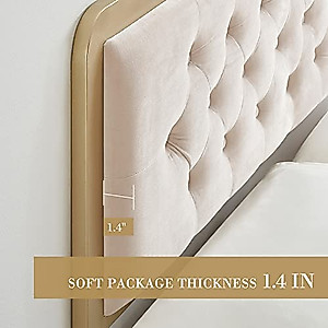 Amyove Golden Queen Size Bed Frame,Upholstered Bed Frame with Button Tufted Headboard,Heavy Duty Metal Easy Assembly,No Box Spring Needed (Beige, Queen)