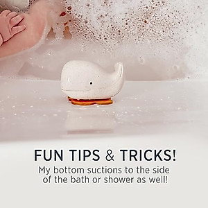 HEVEA Squeeze'n'Splash Rubber Duck & Frog Bath Toys Gift Set - Bath Toy for Babies and Toddlers - 100% Natural Rubber, Plant Based, Plastic-Free, BPA-Free