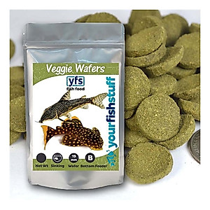 Spirulina Veggie Algae Wafers Pleco Catfish Tropical Bulk Fish Food ONE LB - Bottom Feeders