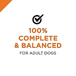 Purina Pro Plan High Protein Dog Food Wet, Braised Beef and Wild Rice Entree - (8) 10 Oz. Tubs