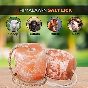Himalayan Salt Lick 4-5 lbs | Pack of 2 | Salt Lick Deer | Deer Salt Lick Block | Licking Salt for Horses | Salt Block on Rope | Horse Treats.