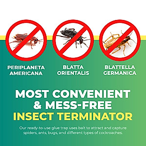 Roach Traps Indoor - 12 Pack Roach Bait Traps | Effective German Roach Killer for Home Infestation - Child and Pet Safe Roach Killer Indoor Infestation Easy-to-Use Glue Traps for Roaches – UCatch