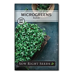 Sow Right Seeds - Microgreens Seed Sample Pack - 9 Packets of Healthy Superfoods to Sprout and Grow Indoors on Your Kitchen Counter. Broccoli, Cress, Sunflower, Arugula, Kale, Radish, Pea, and More