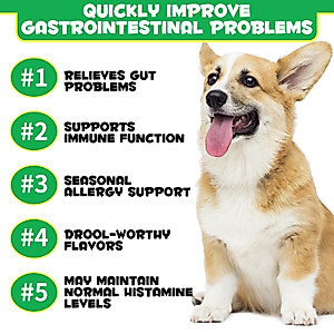 Probiotics Chews for Dogs - Pre & Probiotic Digestive Treats for Dog, Support Gut Health, Seasonal Allergies, Itchy Skin, Dog Supplement Soft Chews for Pet Immune System for Dogs - 120pc/Duck Flavor