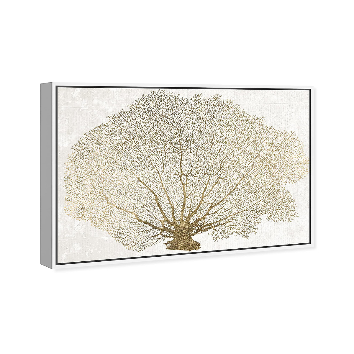 The Oliver Gal Artist Co. Nautical and Coastal Contemporary White Frame Canvas Wall Art Gold Coral Fan Living Room Bedroom and Bathroom Home Decor 45 in x 30 in White and Gold